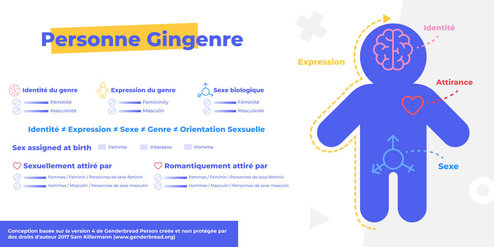 Genre Et Orientation Sexuelle Notre Guide Avec La Personne Gingenre